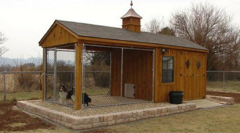 Уличный вольер для собаки | Собаки Балабаки